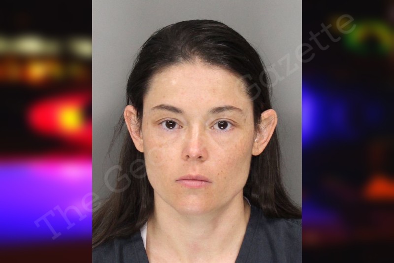 Kristen Mitchell — Cobb County Jail Bookings