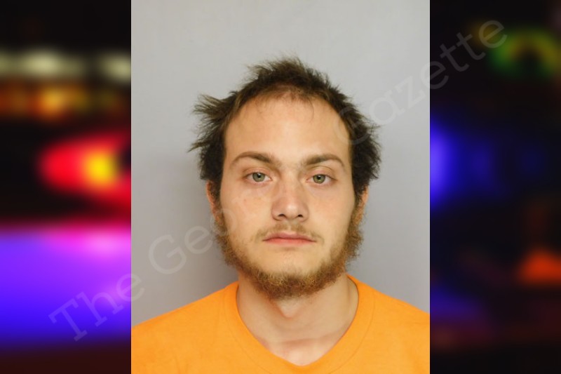 Joey Nobles — Hall County Jail Bookings