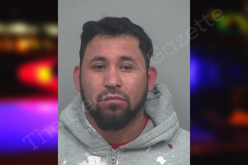 Manuel Rivera Renteria — Gwinnett County Jail Bookings