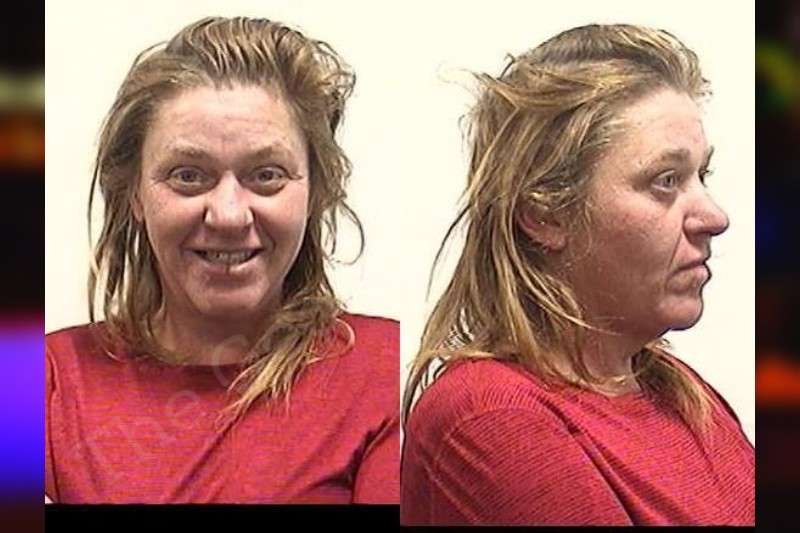 Roxanne Patterson — Clarke County Jail Bookings