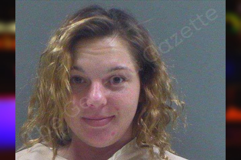Frances Plummer — Rabun County Jail Bookings