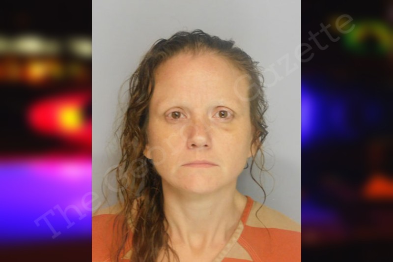 Jennifer Prather — Hall County Jail Bookings