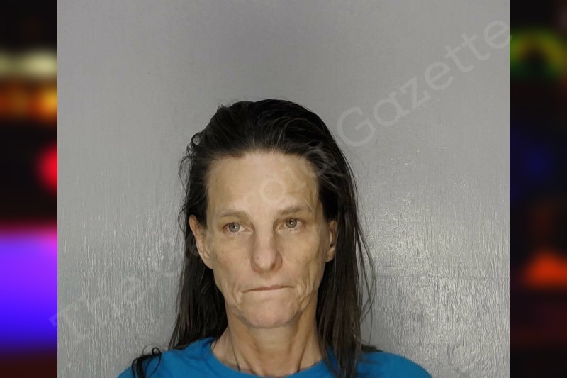 Penny Hatfield — Bibb County Jail Bookings