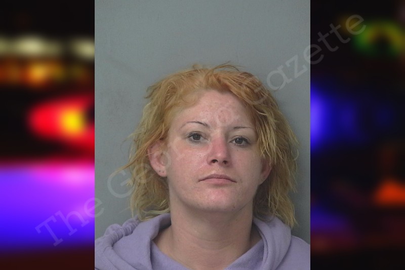 Corrine Rice — Gwinnett County Jail Bookings