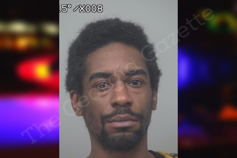 Dukerns Roney — Gwinnett County Jail Bookings