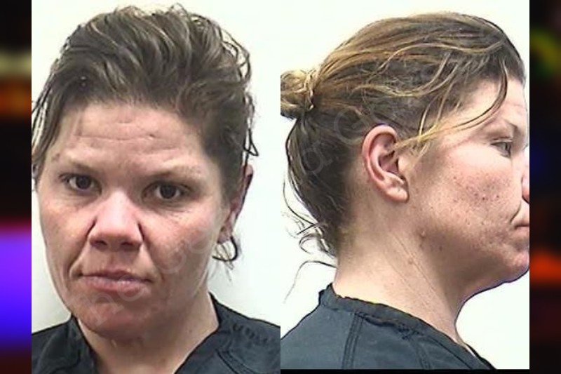 Samantha Ryan — Clarke County Jail Bookings