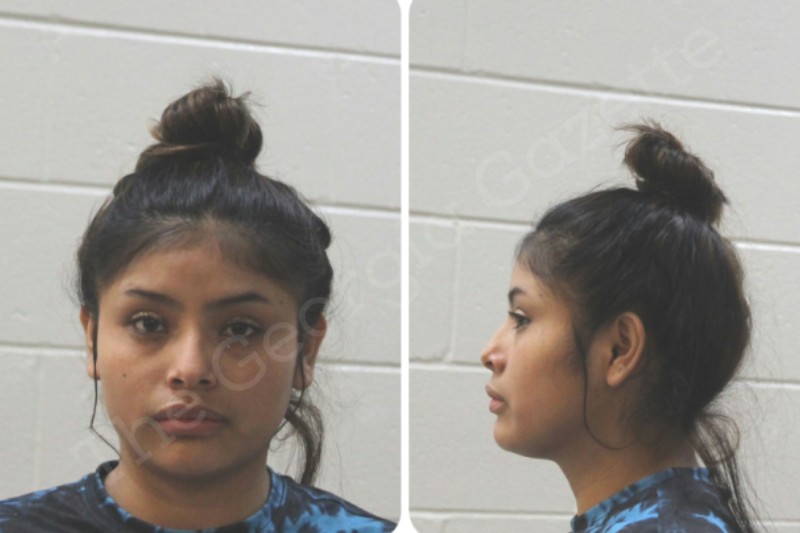 Yadira Ramirez-Ramos — Houston County Jail Bookings