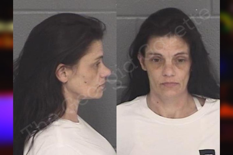 Cara Reagan — Barrow County Jail Bookings
