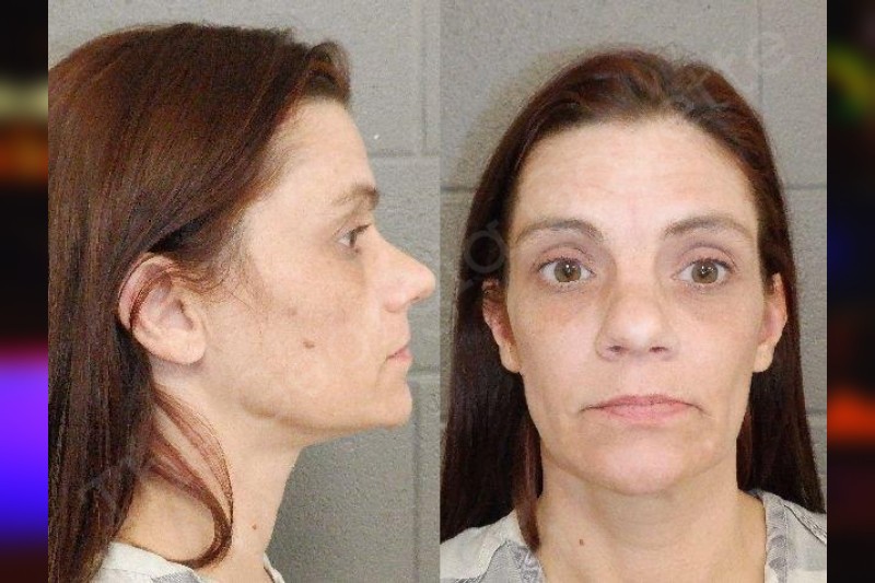 Cara Reagan — Barrow County Jail Bookings
