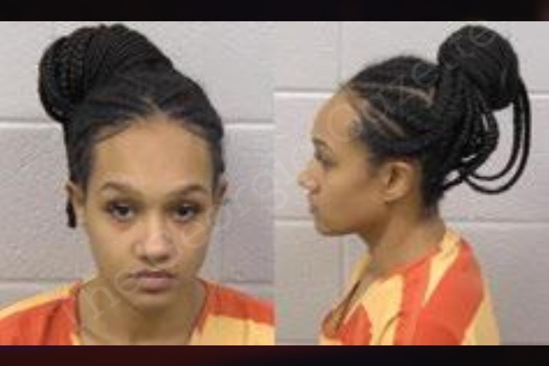 Ashley Rountree — Paulding County Jail Bookings