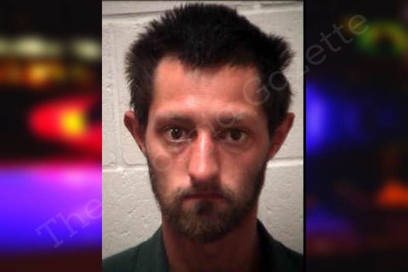 Austin Skinner — Henry County Jail Bookings