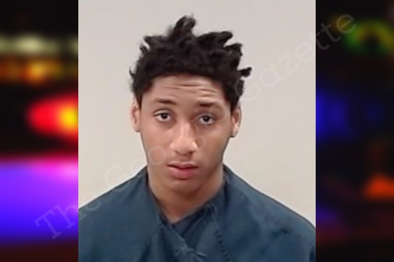 Mickey Stallings — Lowndes County Jail Bookings