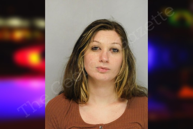 Ivey Stanfield — Hall County Jail Bookings