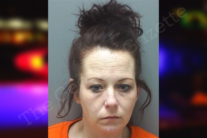 Susan Shirley — Cherokee County Jail Bookings