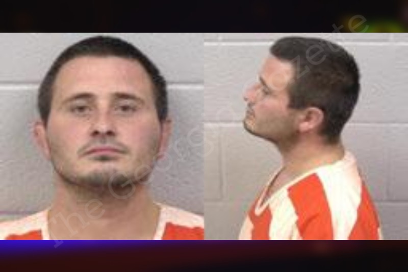 Michael Simpson — Paulding County Jail Bookings