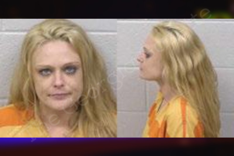 Brenda Stidham — Paulding County Jail Bookings