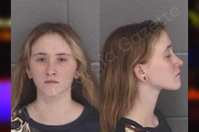 Jessica Sumner — Barrow County Jail Bookings