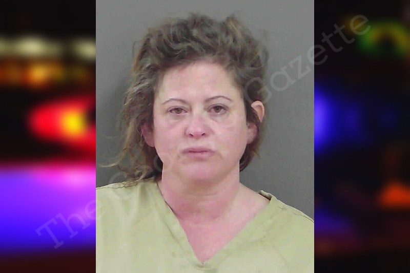 Dawn Waldroup — Gordon County Jail Bookings