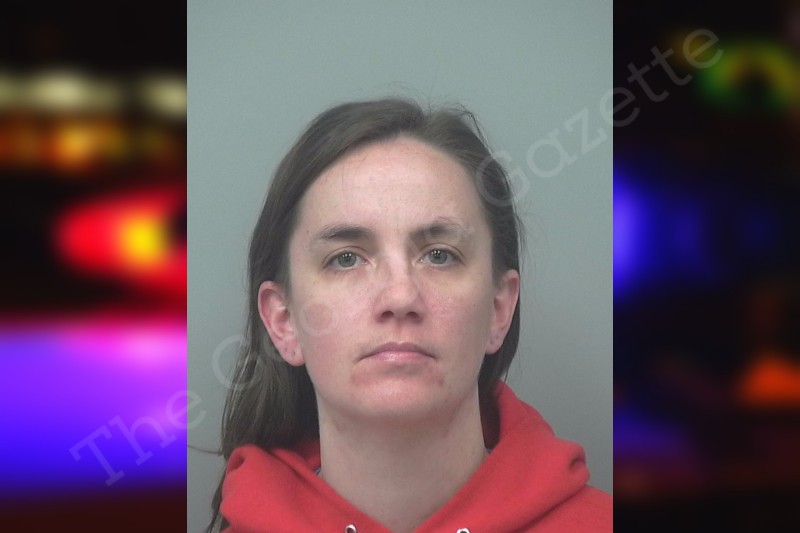 Rachel Wallace — Gwinnett County Jail Bookings