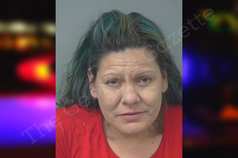 Jenny Webb — Gwinnett County Jail Bookings