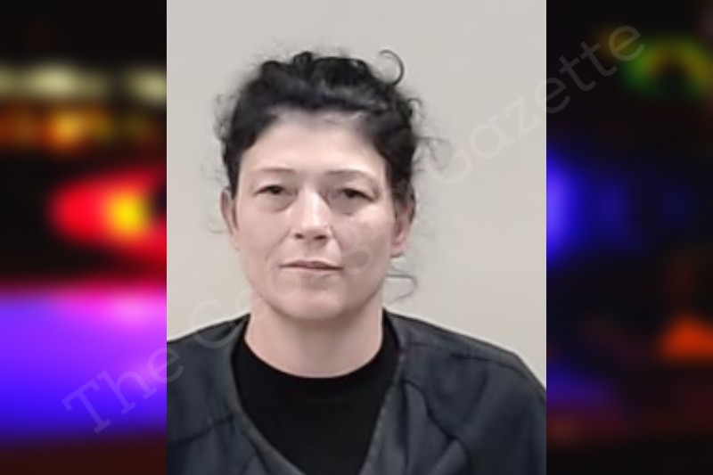 Lisa Whitson — Lowndes County Jail Bookings