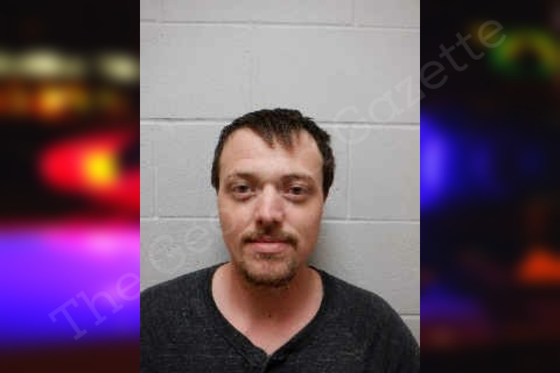 Michael Whitton — Henry County Jail Bookings