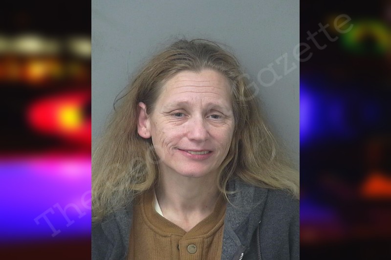 Misty Adams — Gwinnett County Jail Bookings