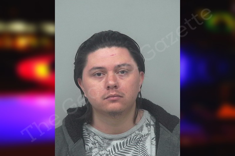 Jordan Angles Castanada — Gwinnett County Jail Bookings