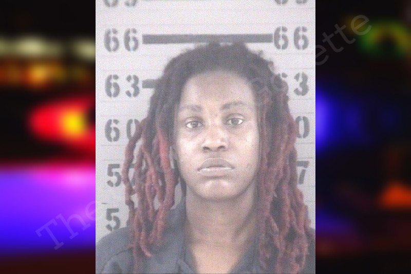 Destiny Alexander — Dougherty County Jail Bookings