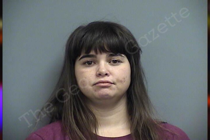 Anna Bockman — Effingham County Jail Bookings