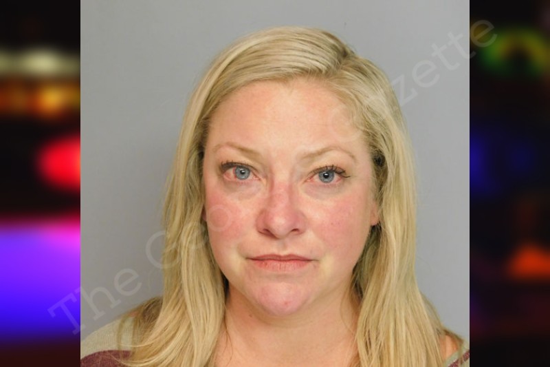 Laney Brewer — Hall County Jail Bookings