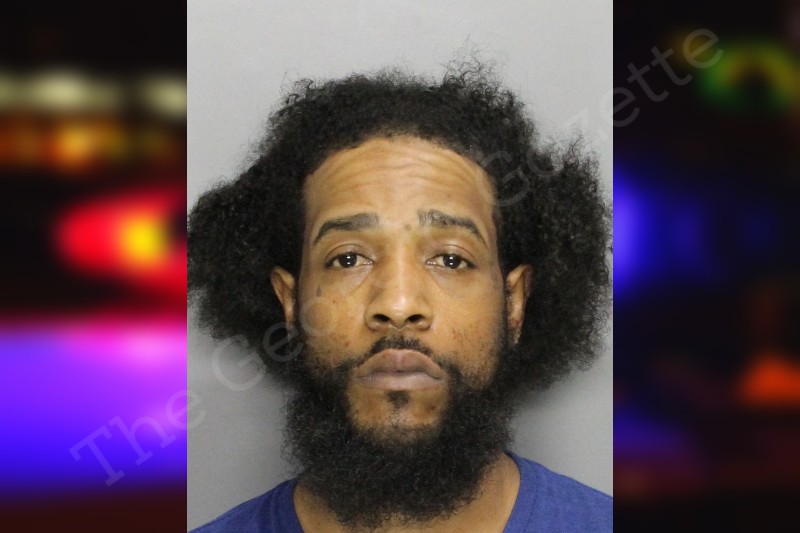 Jamie Burris | Cobb County