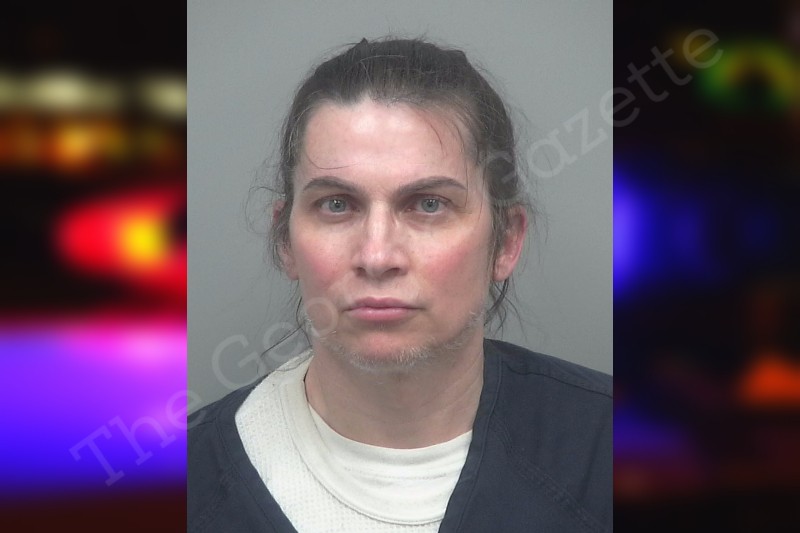 Aijah Chappell — Gwinnett County Jail Bookings