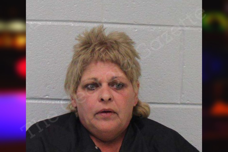 Mary Cosby — Carroll County Jail Bookings