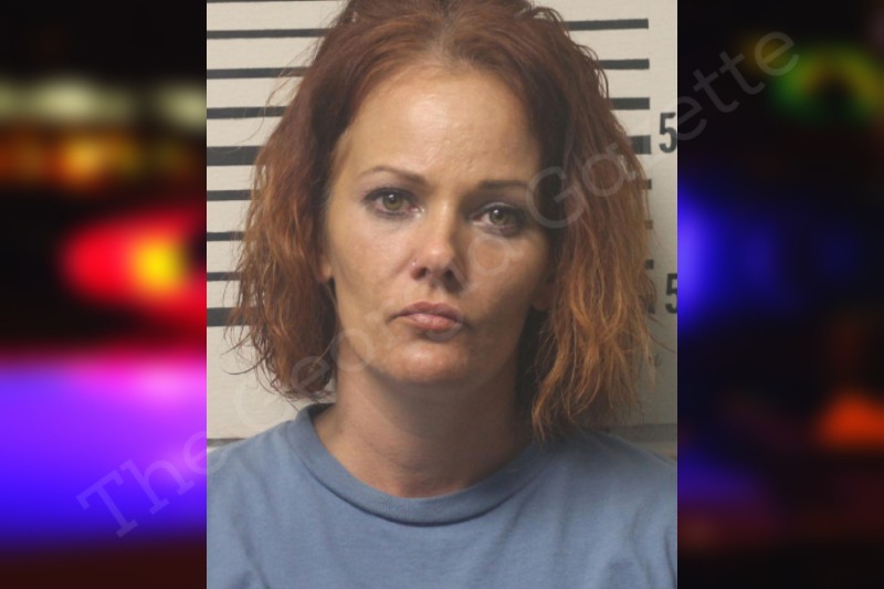 Jessica Creamer — Toombs County Jail Bookings