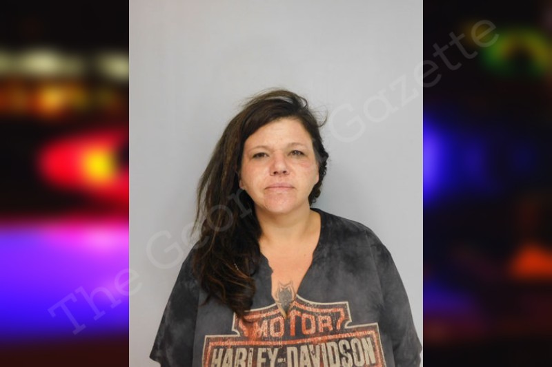 Courtney Croy — Hall County Jail Bookings