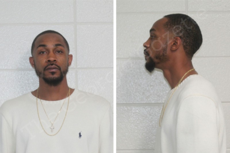 Melvin Childs — Houston County Jail Bookings