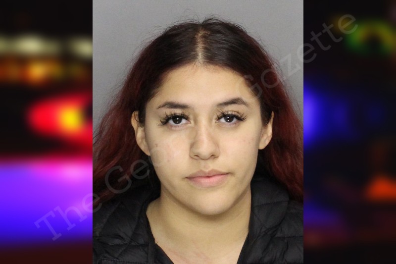 Kelly Cuevas — Cobb County Jail Bookings