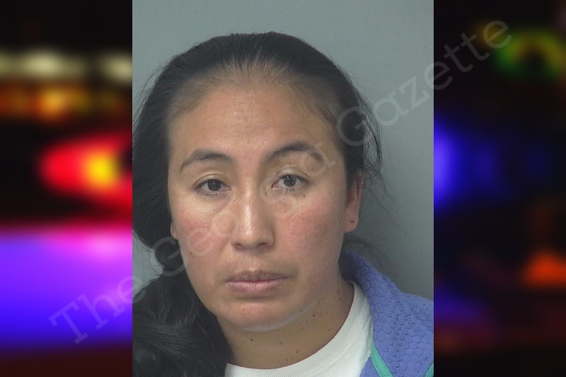 Sandra Dimas — Gwinnett County Jail Bookings