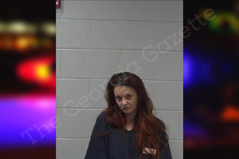 Crystal Durley — Gilmer County Jail Bookings