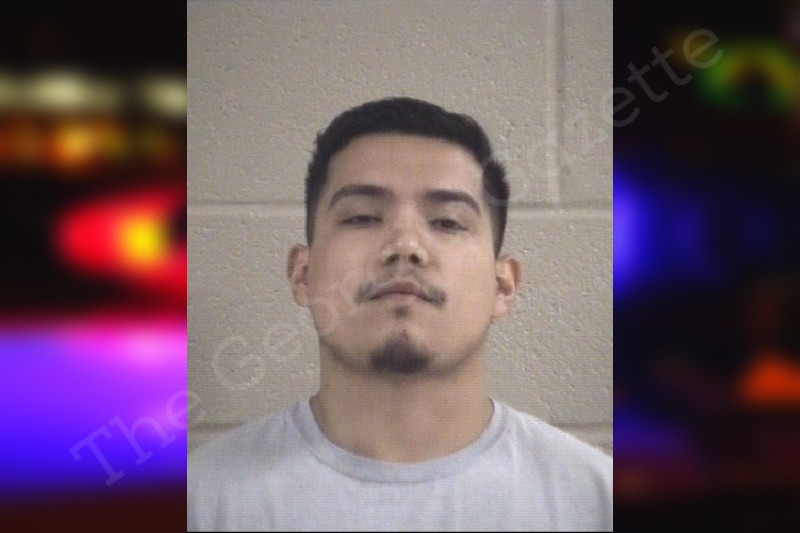 David Lopez — Whitfield County Jail Bookings
