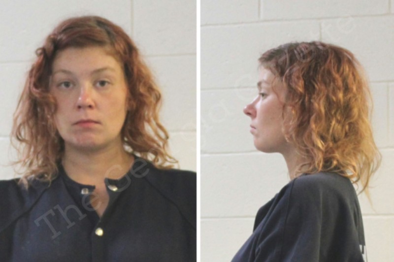 Amanda Drake — Houston County Jail Bookings