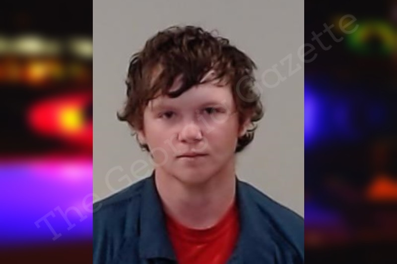 Austin Farmer — Lowndes County Jail Bookings