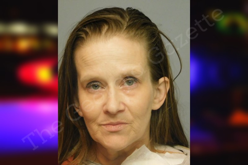 Stacy Foster — Hall County Jail Bookings