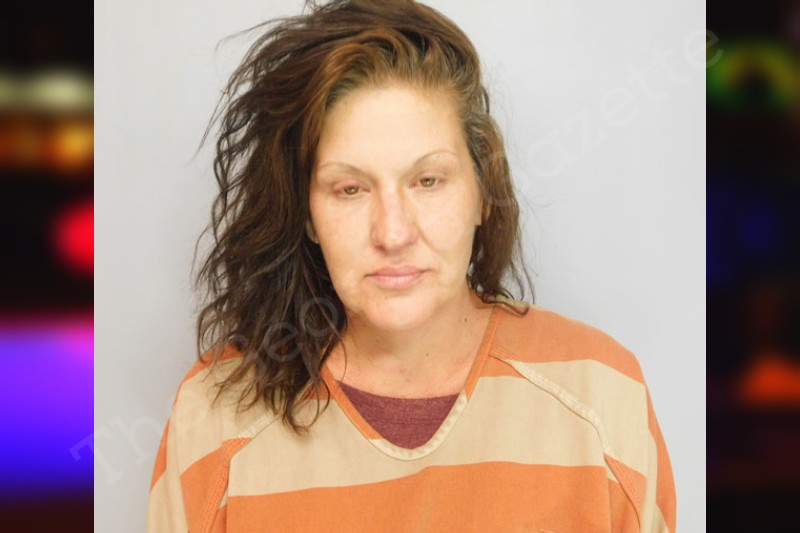 Stacy Foster — Hall County Jail Bookings