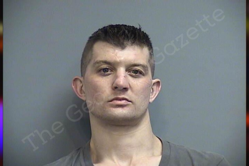 Brandon Fox — Effingham County Jail Bookings