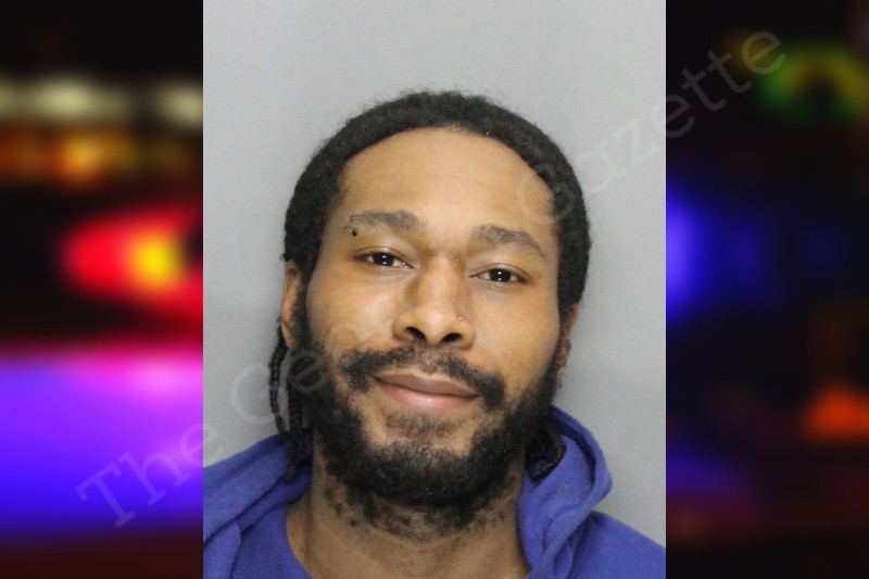 Thaddeus Freeman — Cobb County Jail Bookings