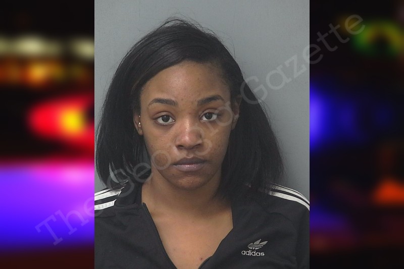 Mariah Gaddis — Gwinnett County Jail Bookings