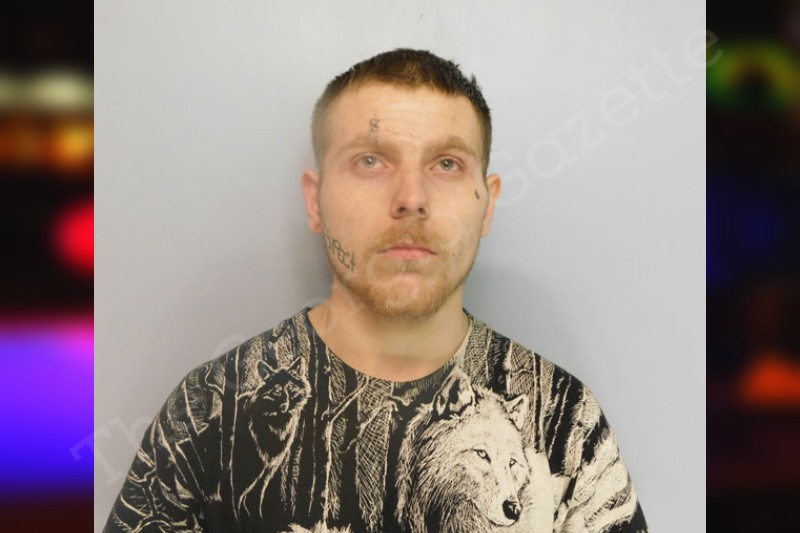 Carl Hammond — Hall County Jail Bookings