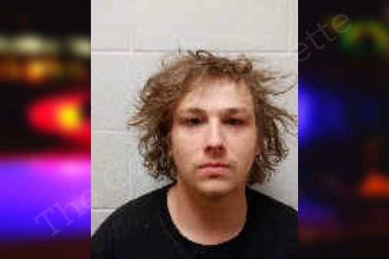 Michael Haney — Henry County Jail Bookings